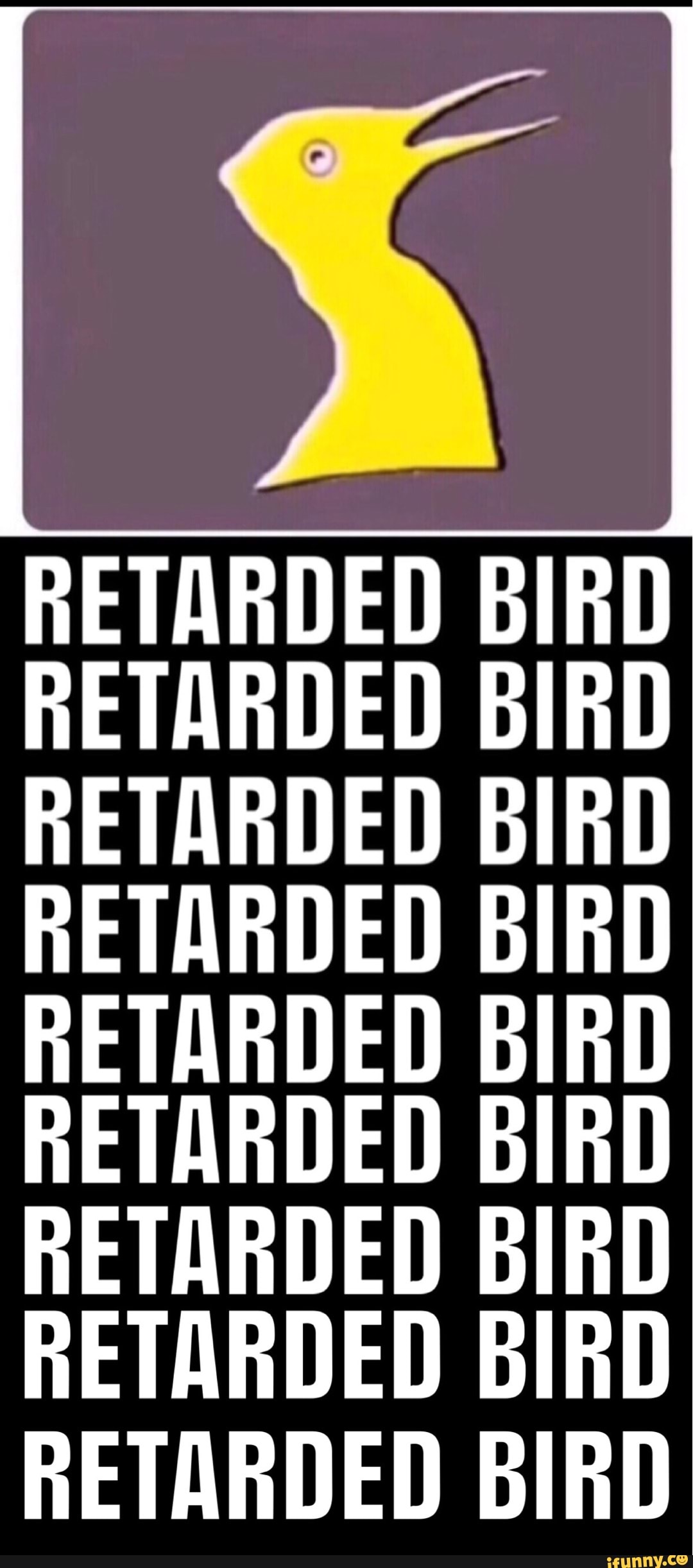 RETARDED BIRD RETARDED BIRD RETARDED BIRD RETARDED BIRD RETARDED BIRD ...