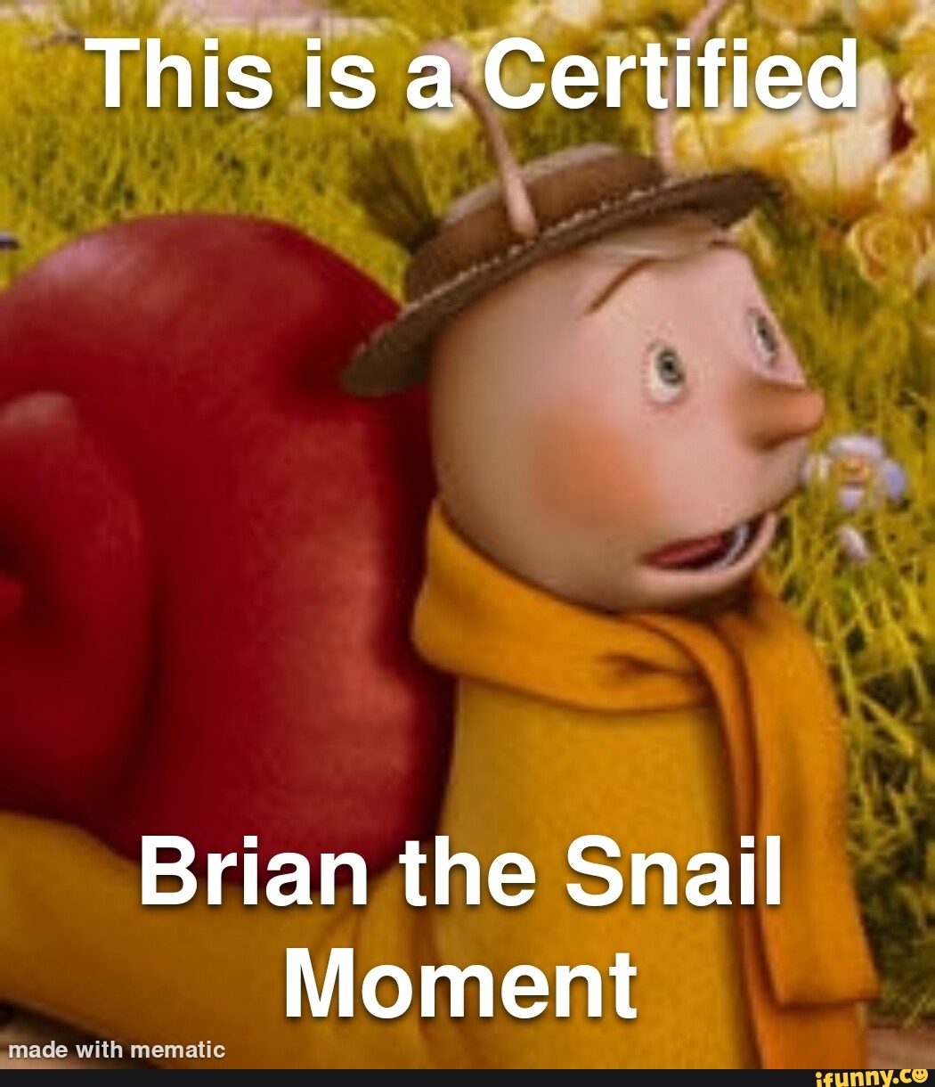 Doogal memes. Best Collection of funny Doogal pictures on iFunny