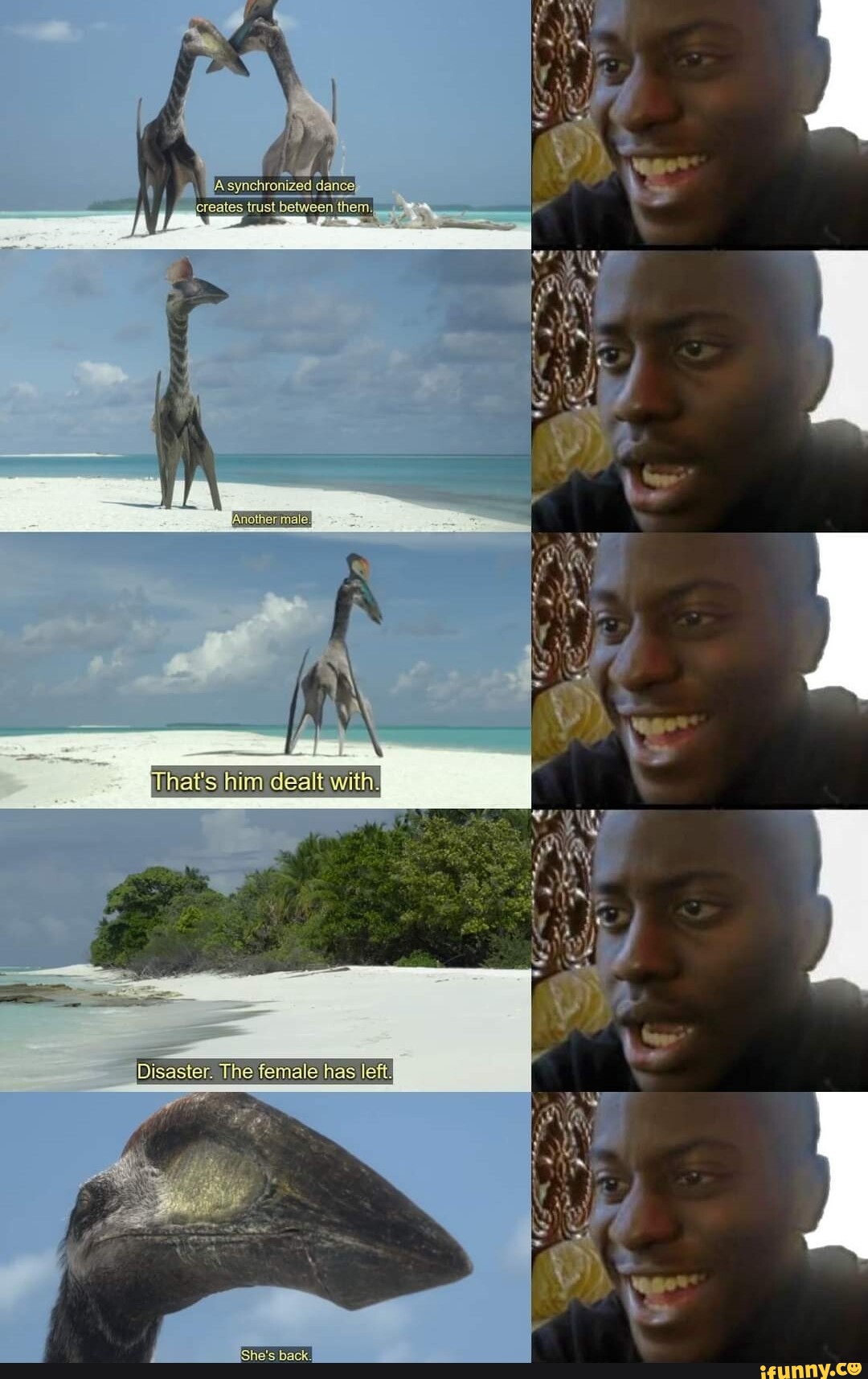 IA synchronized dance creates trust between them. with sShe's back ...