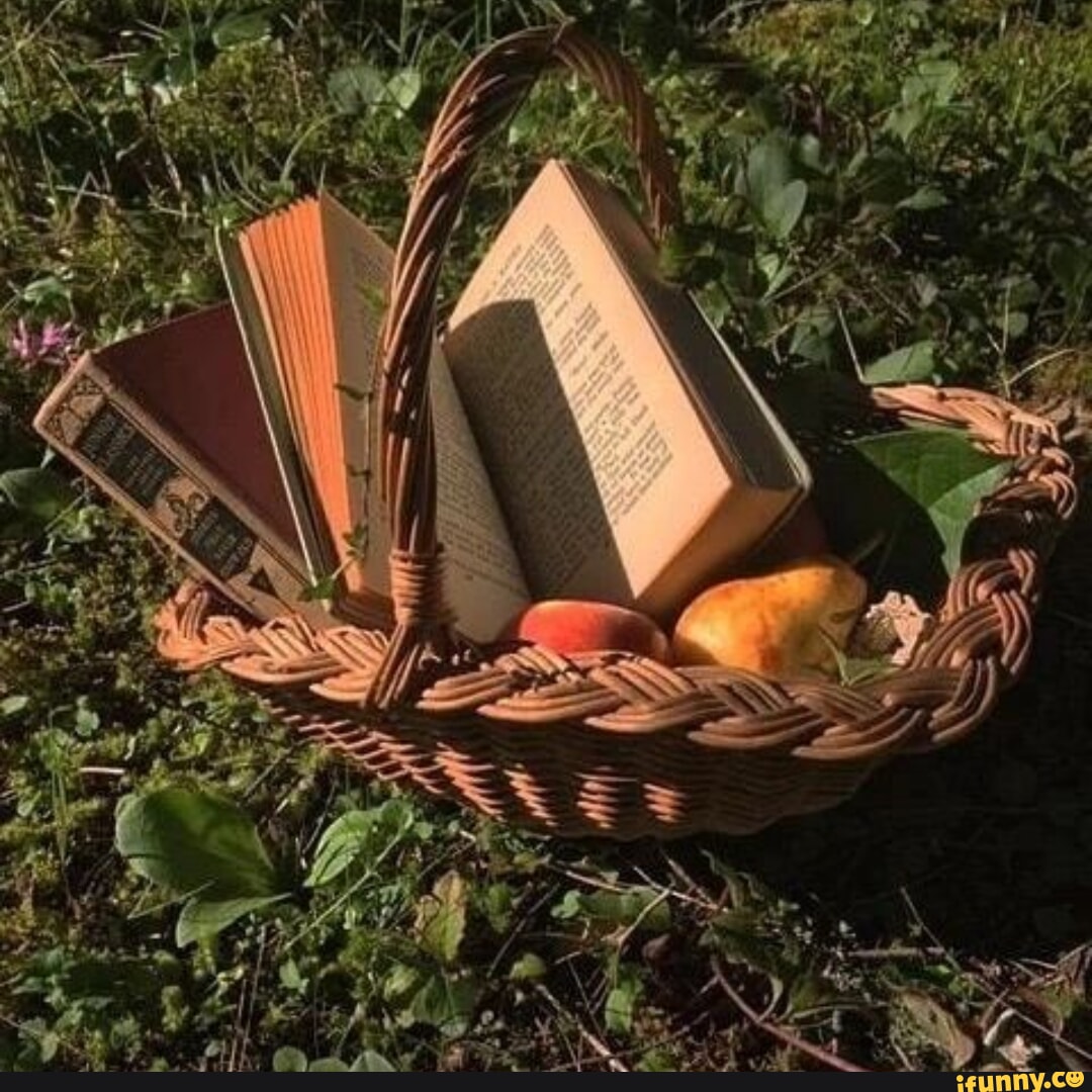 Cottagecore memes. Best Collection of funny Cottagecore pictures on iFunny