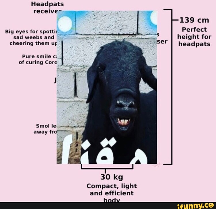 Headpats memes. Best Collection of funny Headpats pictures on iFunny