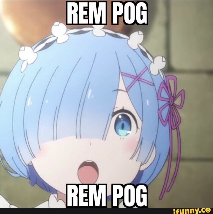 Pema memes. Best Collection of funny Pema pictures on iFunny