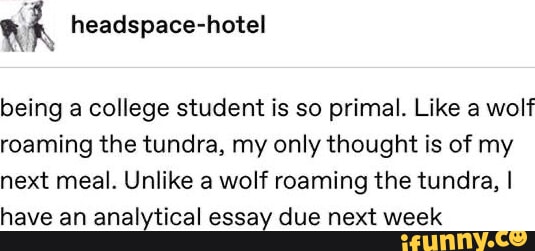 Tundra memes. Best Collection of funny Tundra pictures on iFunny