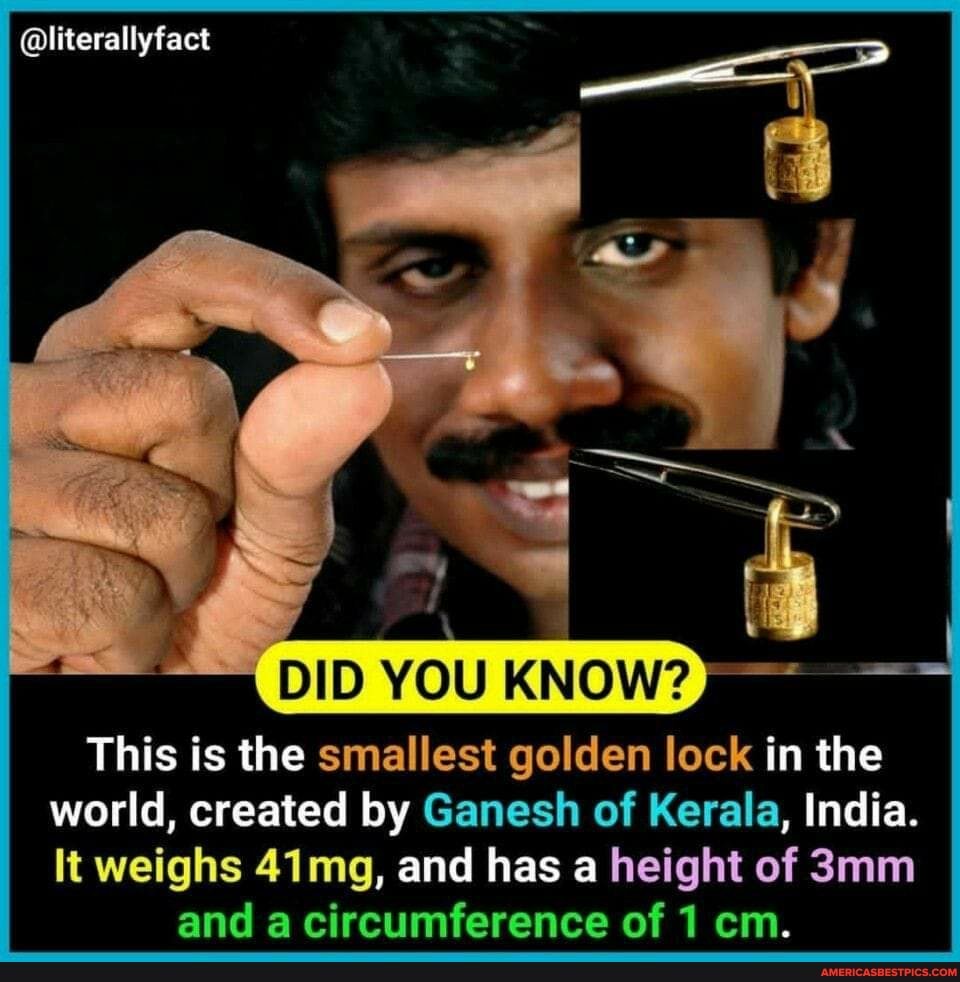 @literallyfact DID YOU KNOW?} This is the smallest golden lock in the ...