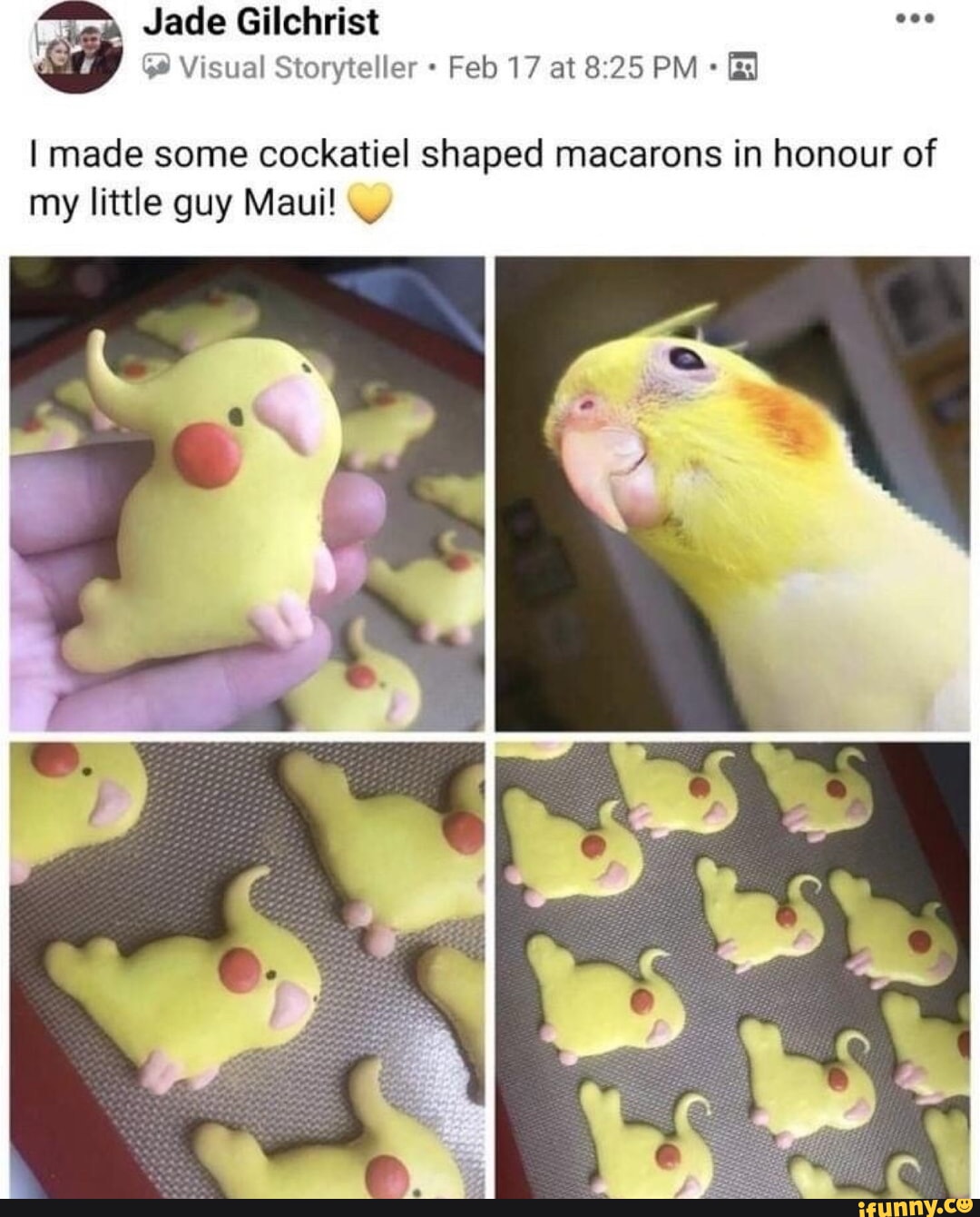 Macarons memes. Best Collection of funny Macarons pictures on iFunny
