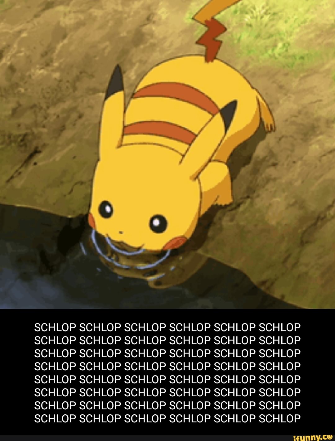 Schlop memes. Best Collection of funny Schlop pictures on iFunny