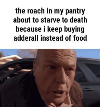 The roach in my pantry about to starve to death because i keep buying ...