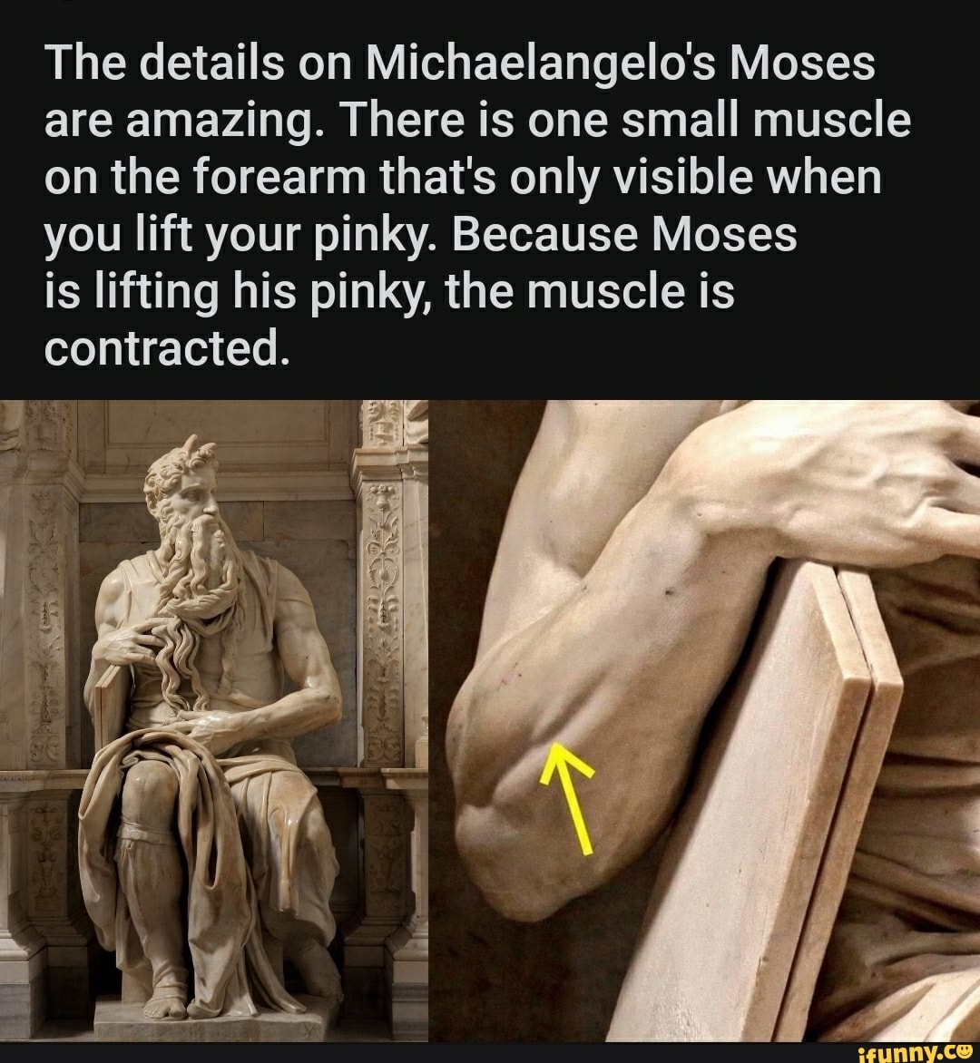 The details on Michaelangelo's Moses are amazing. There is one small ...