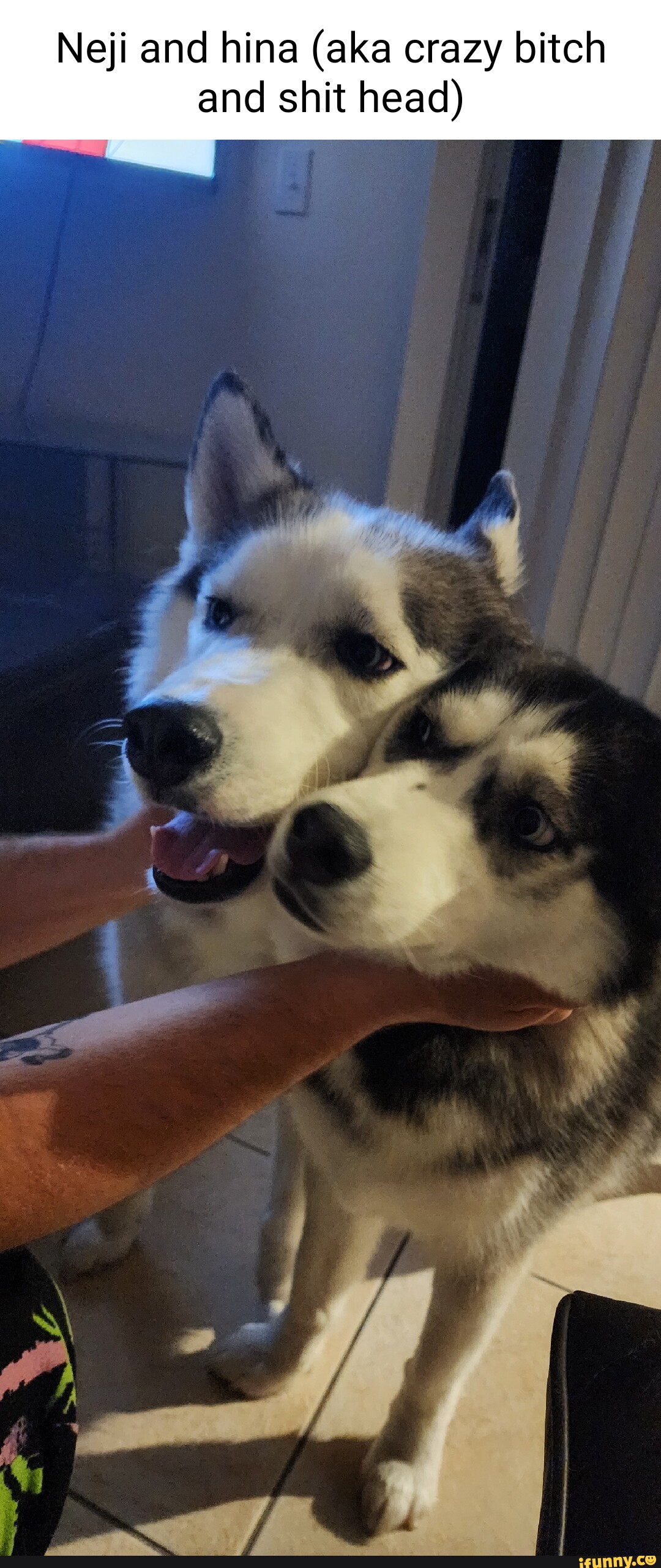 Neji memes. Best Collection of funny Neji pictures on iFunny