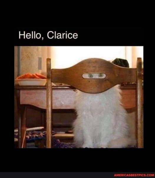 Hello, Clarice - America’s best pics and videos