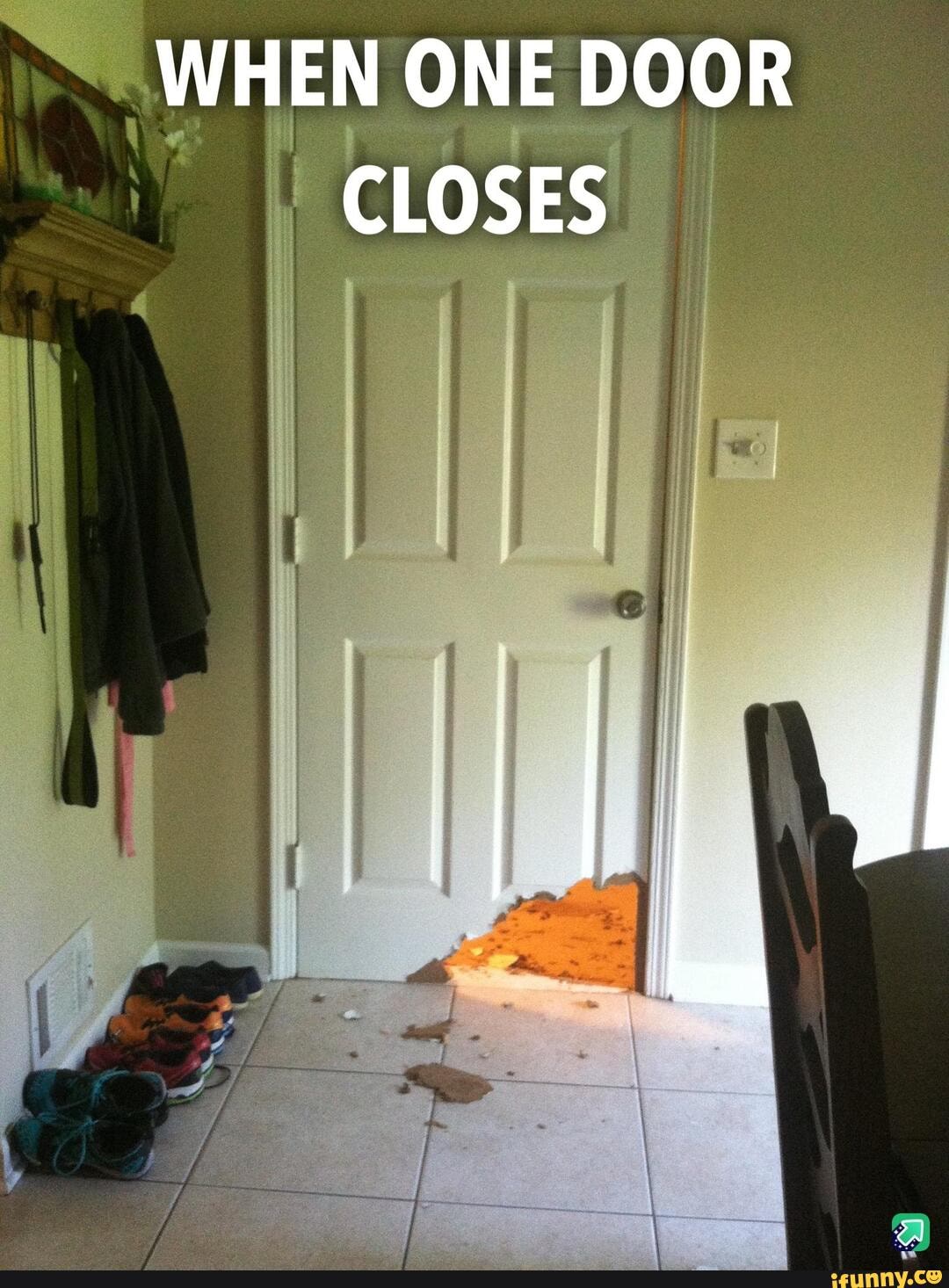 Destructive_dog memes. Best Collection of funny Destructive_dog ...