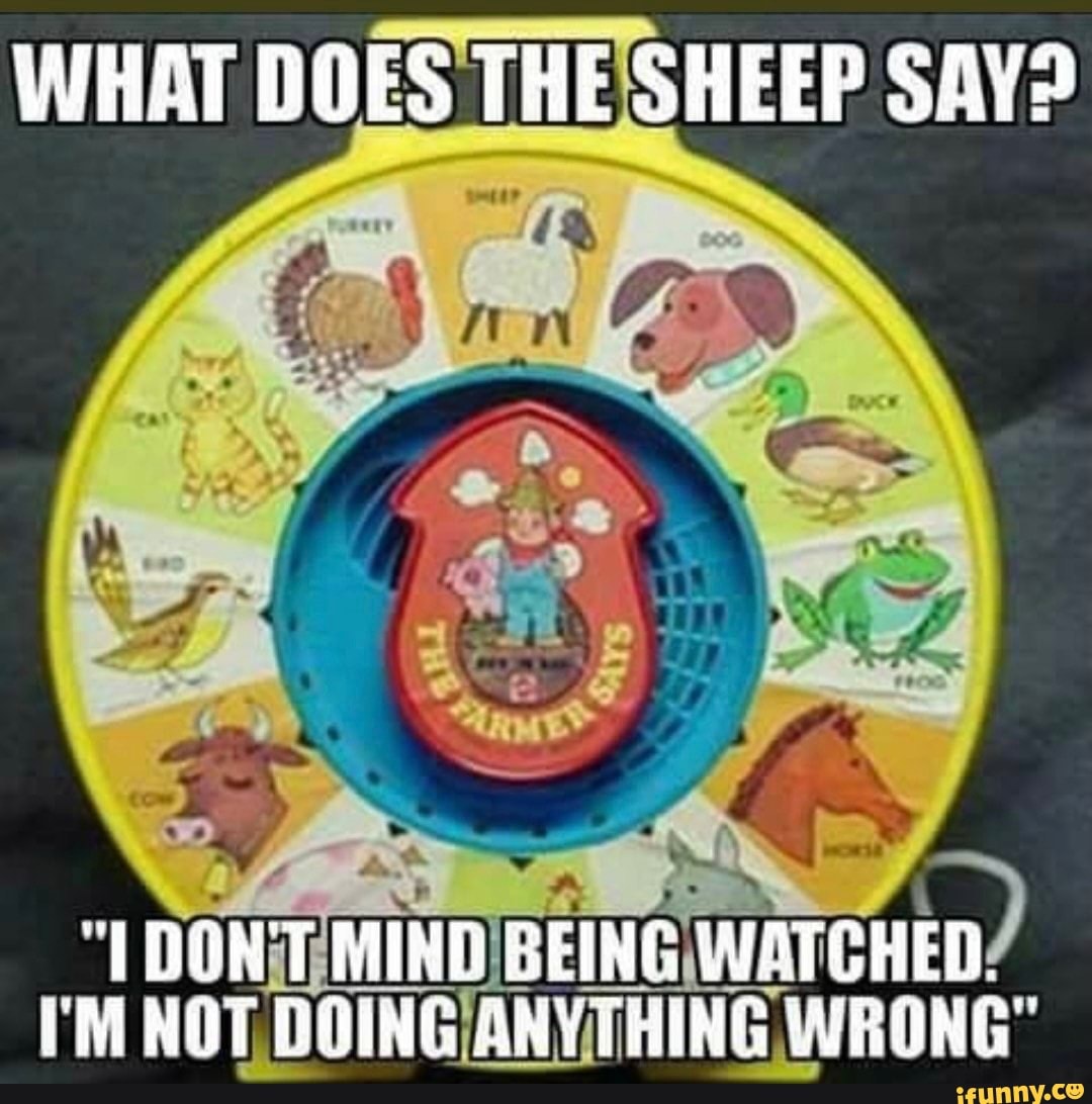 WHAT DOES THE SHEEP SAY? ON MIND BEING WATCHED. I'M NOT DOING BNYTRING ...