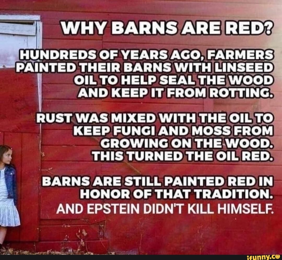 WHY BARNS ARE RED? HUNDREDS OF YEARS AGO, FARMERS PAINTED THEIR BARNS ...