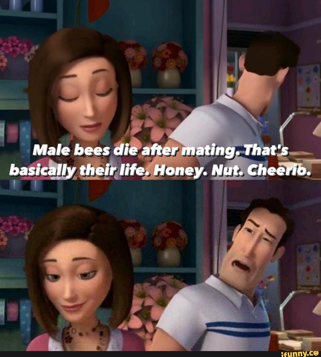 Male bees die after mating. That's basically their life. Honey. Nut ...