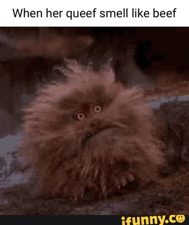 Queef memes. Best Collection of funny Queef pictures on iFunny