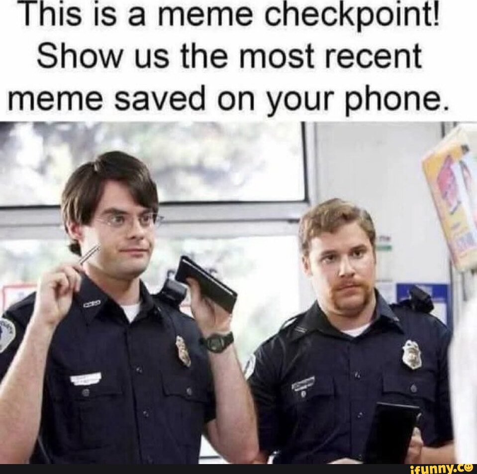 This IS a meme checkpoint! Show us the most recent meme saved on your ...