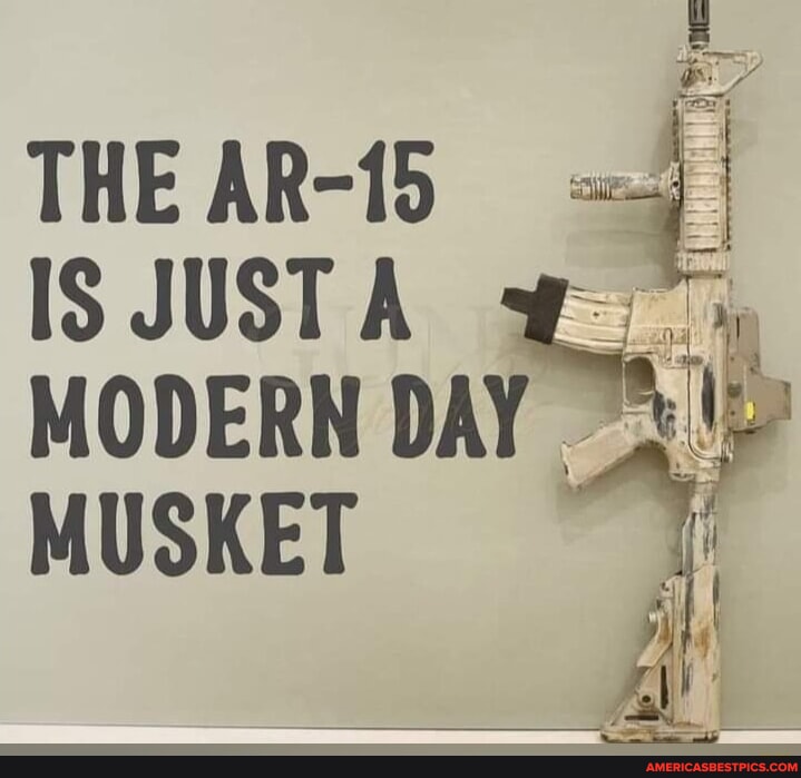 THE IS JUST A MODERN DAY MUSKET - America’s best pics and videos