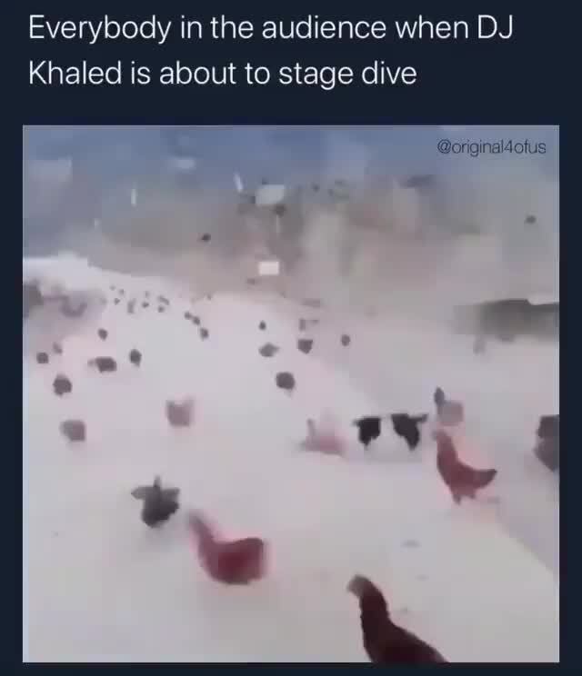 Everybody in the audience when DJ Khaled is about to stage dive - iFunny :)