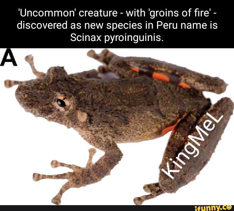 Peru memes. Best Collection of funny Peru pictures on iFunny