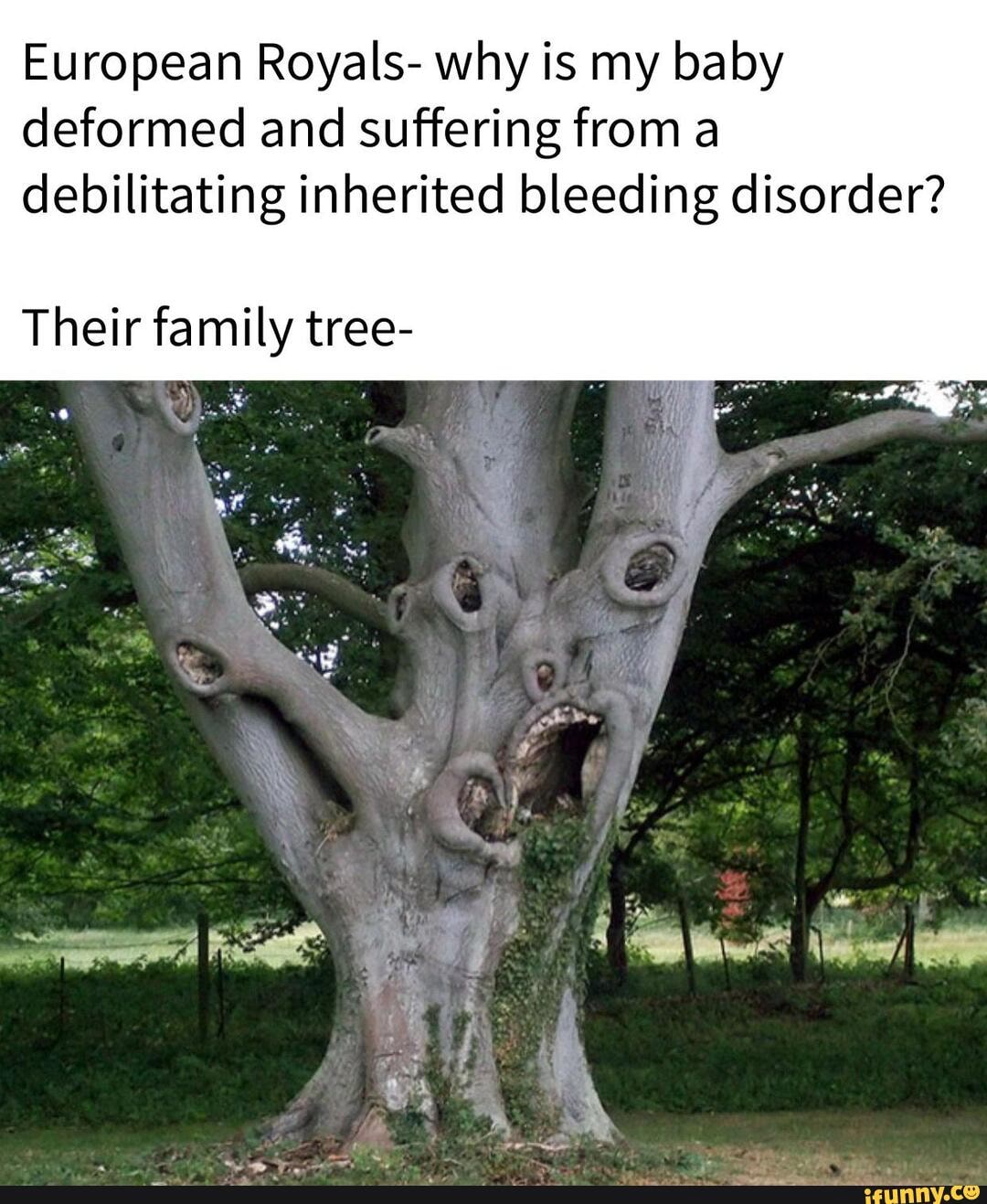 European Royals- why is my baby deformed and suffering from a ...