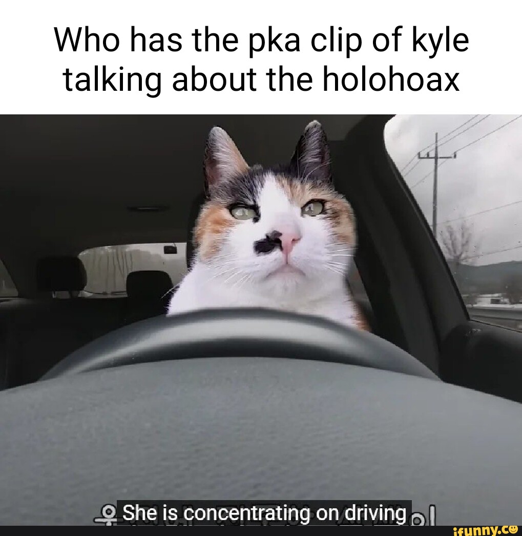 Pka memes. Best Collection of funny Pka pictures on iFunny