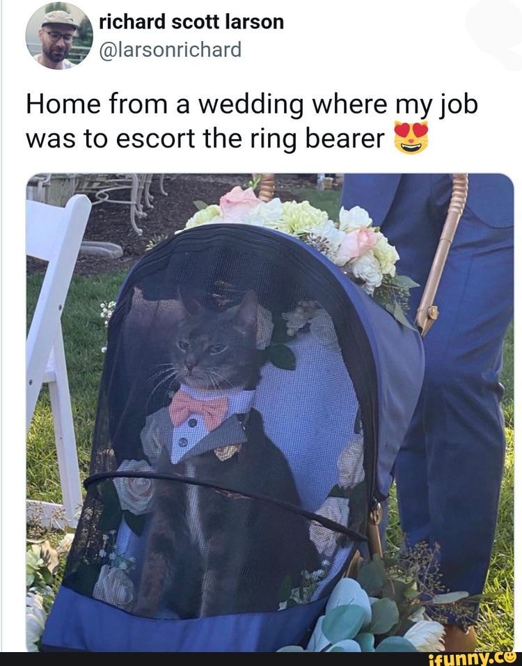 A Perfect representation of OOIine - )