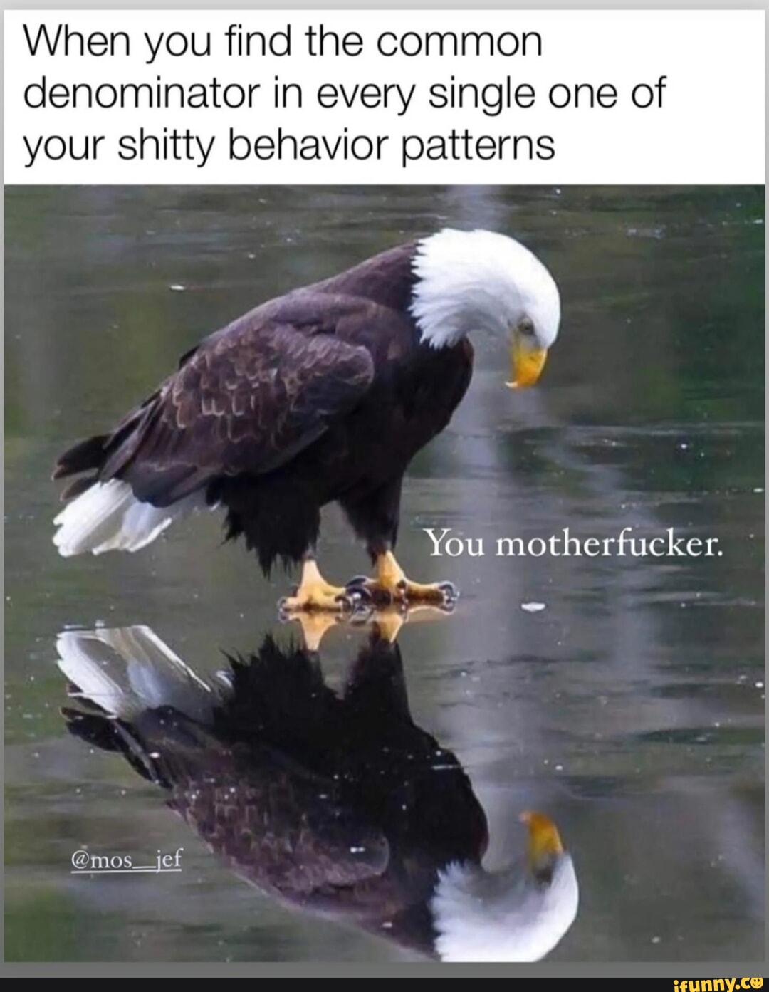 When you find the common denominator in every single one of your shitty ...