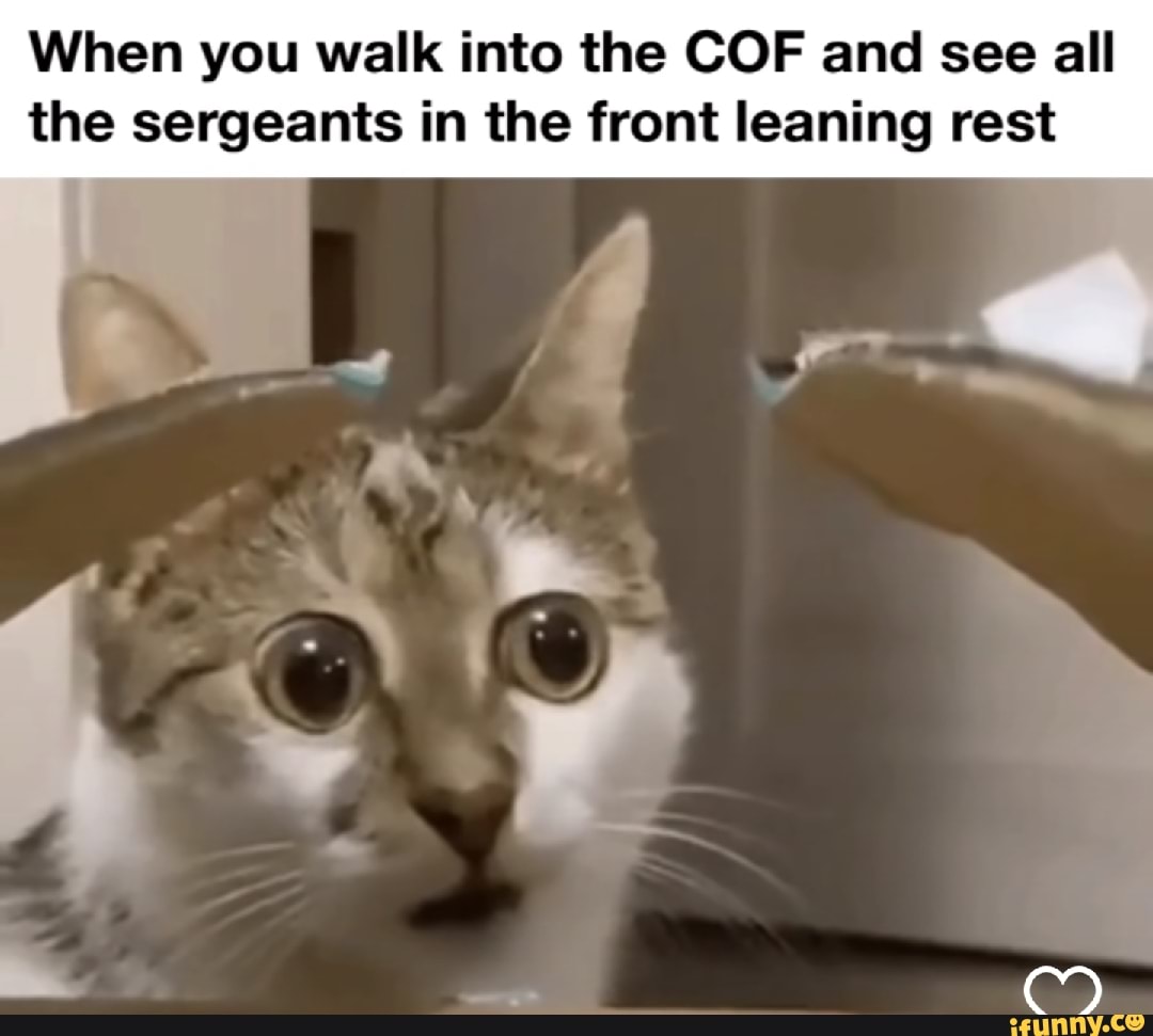 Sergeants memes. Best Collection of funny Sergeants pictures on iFunny
