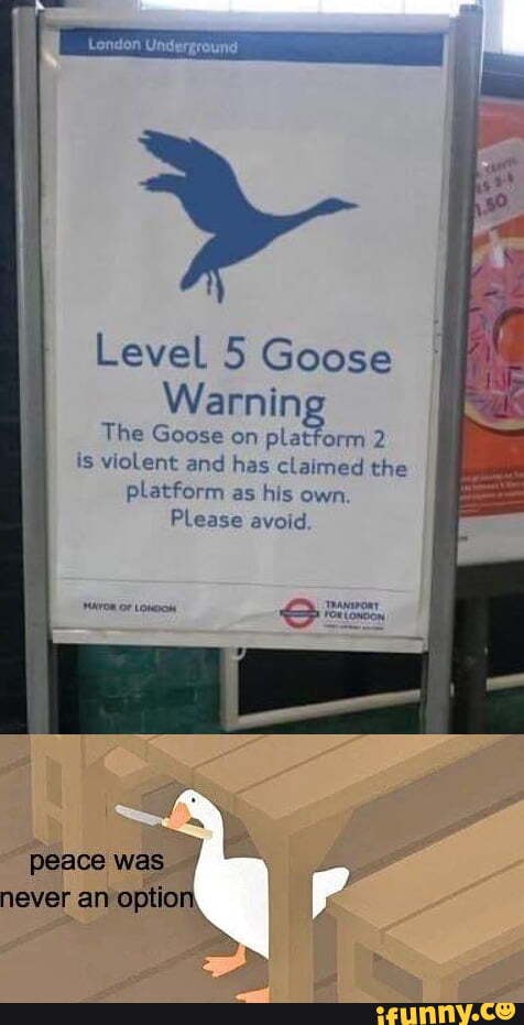 London Underground Level 5 Goose Warning tform 2 The Goose on pla' is ...