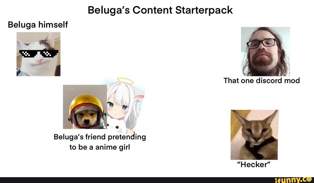 Beluga's Content Starterpack Beluga himself That one discord mod Beluga ...