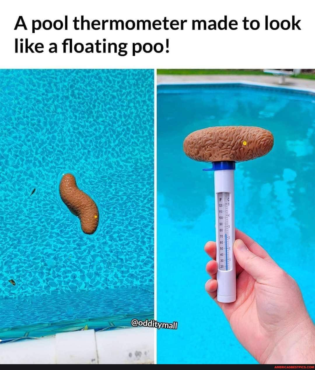 A\ pool thermometer made to look like a floating poo! __@odditymall ...