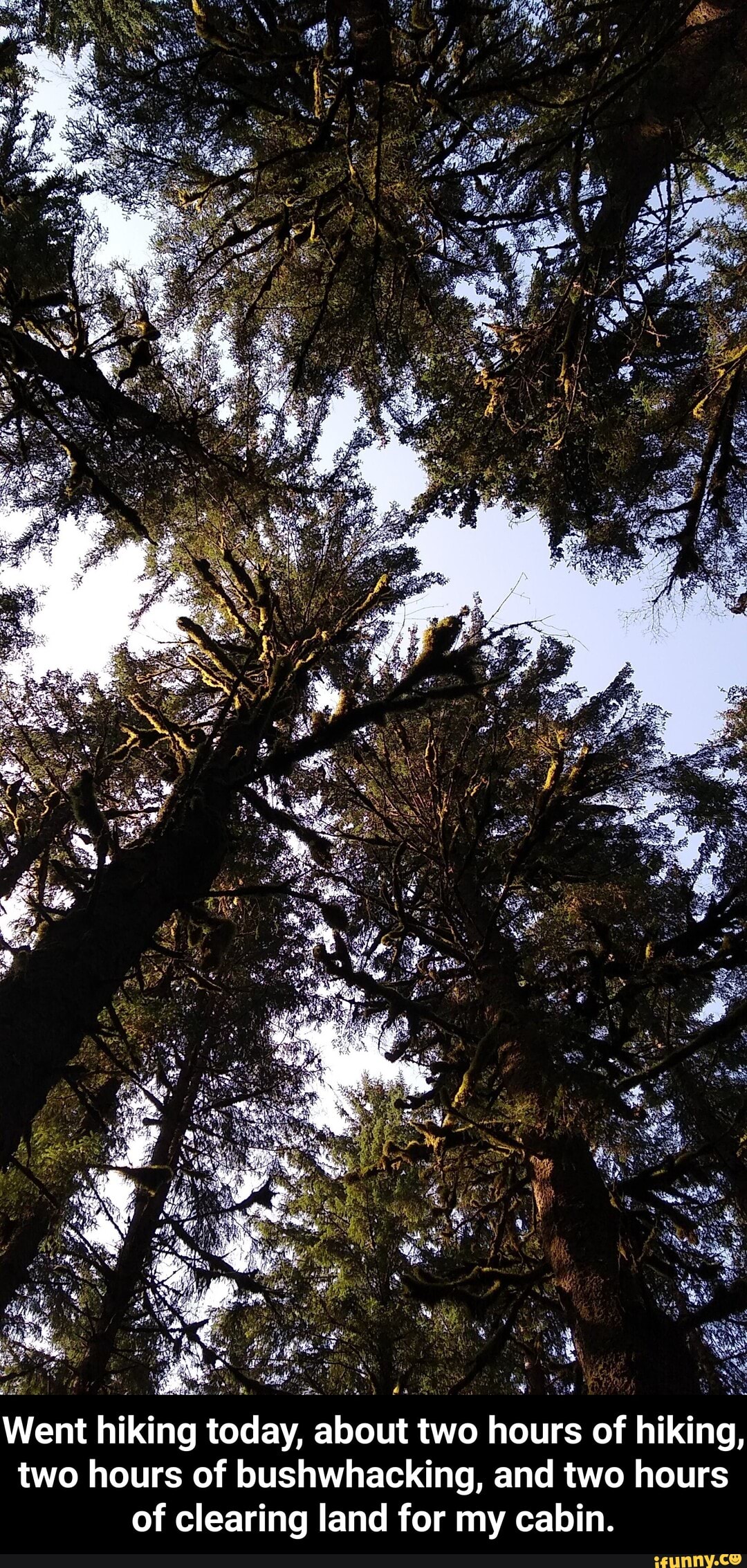 Bushwhacking memes. Best Collection of funny Bushwhacking pictures on ...