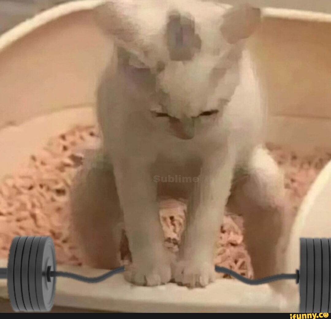 Weights memes. Best Collection of funny Weights pictures on iFunny