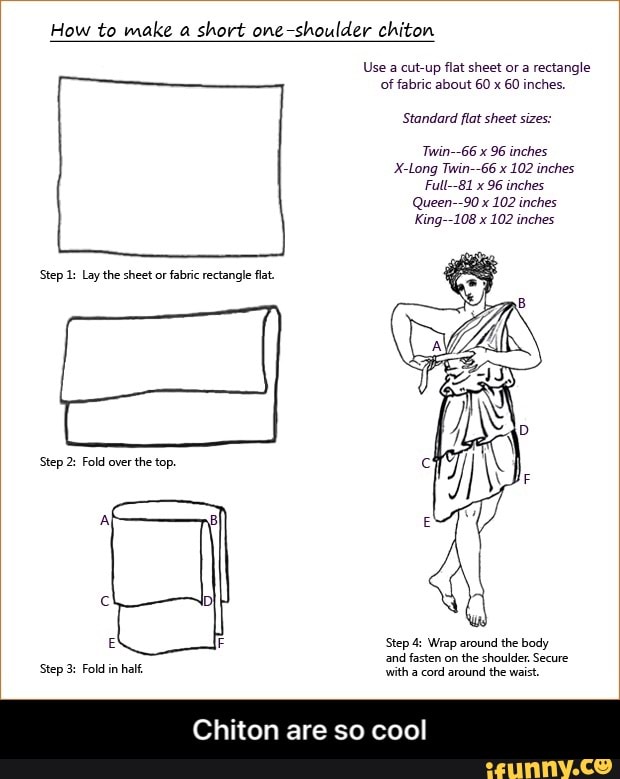 Chiton memes. Best Collection of funny Chiton pictures on iFunny