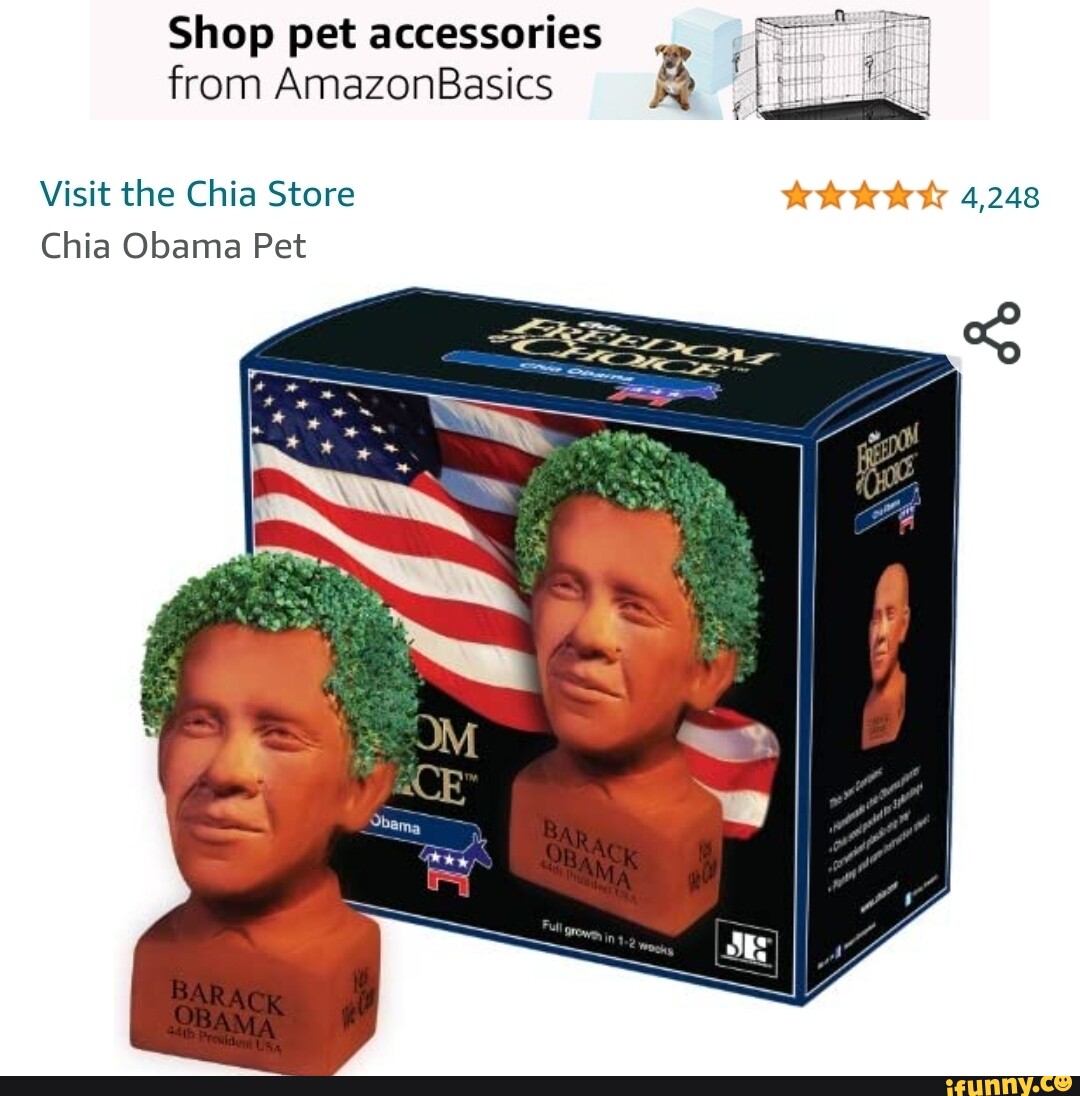 Amazonbasics memes. Best Collection of funny Amazonbasics pictures on ...