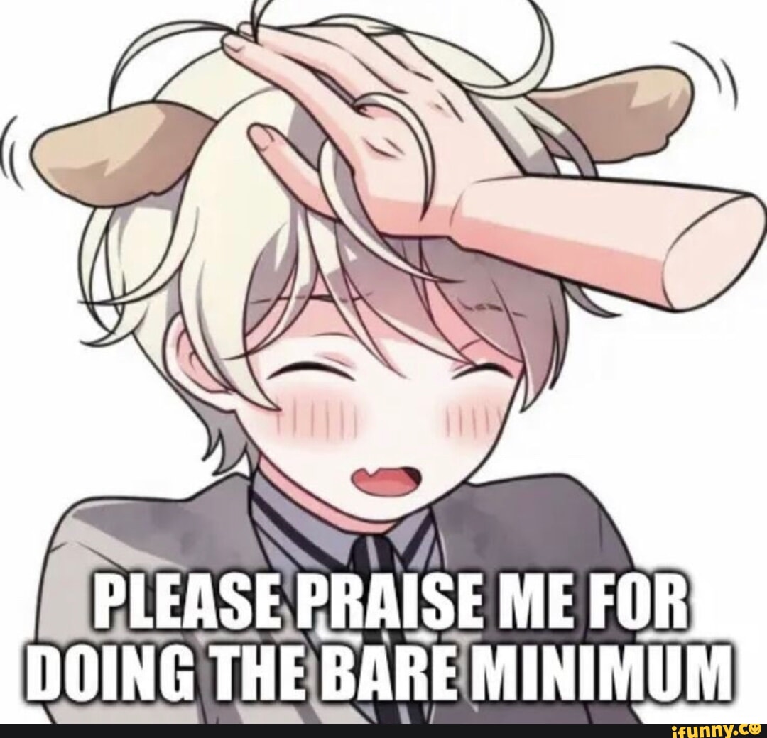 PLEASE PRAISE ME FOR DOING THE BARE MINIMUM - iFunny