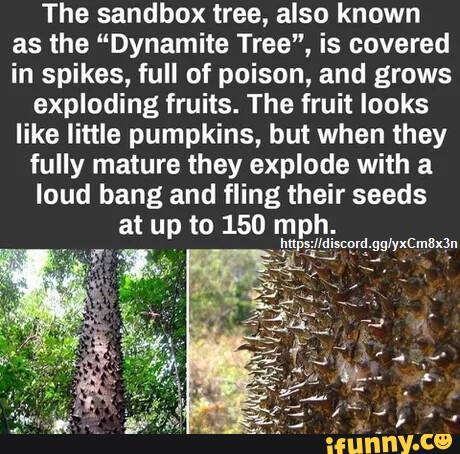 Mature memes. Best Collection of funny Mature pictures on iFunny