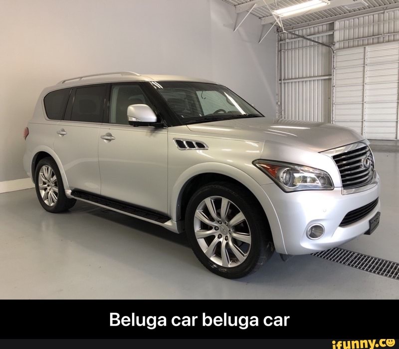 Beluga car beluga car - Beluga car beluga car - iFunny