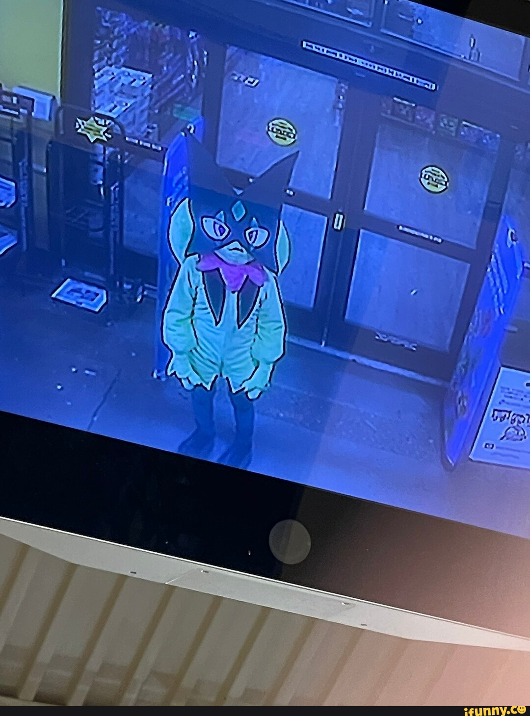 Floragato memes. Best Collection of funny Floragato pictures on iFunny