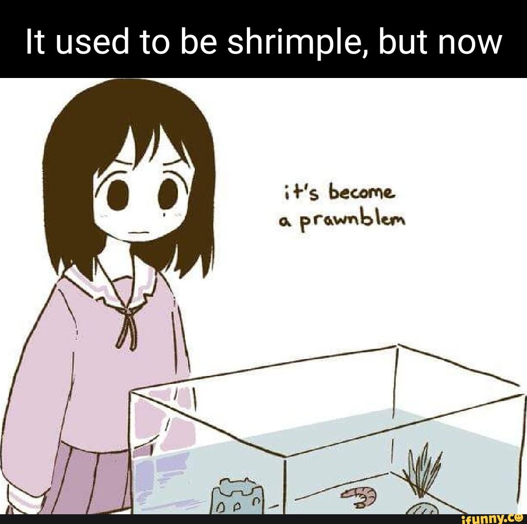 Girls after being called pretty for the 10th times in a day Boys remembering that one time ...