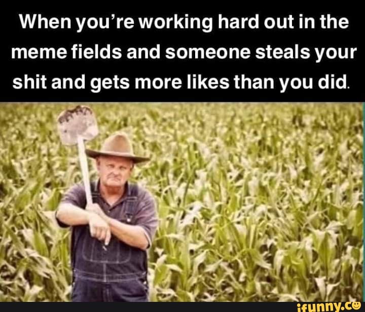 When you're working hard out in the meme fields and someone steals your ...