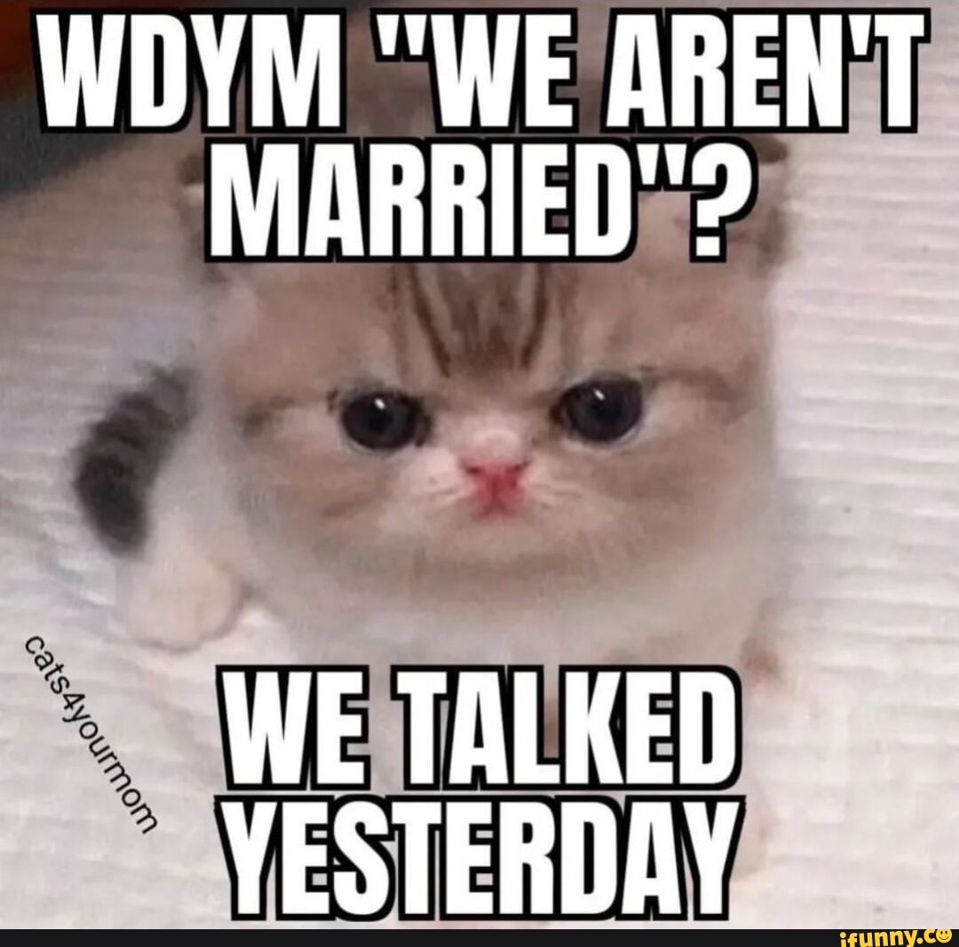 Wdym memes. Best Collection of funny Wdym pictures on iFunny