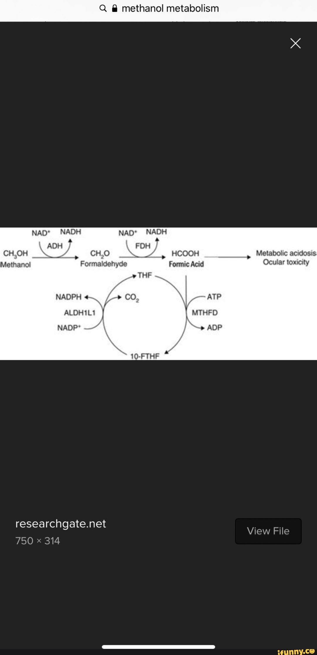 Q @ methanol metabolism NApe NADH NAD* NADH ox \ FOH CH,O HCOOH ...
