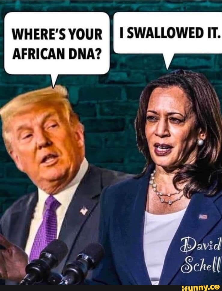 Schell memes. Best Collection of funny Schell pictures on iFunny