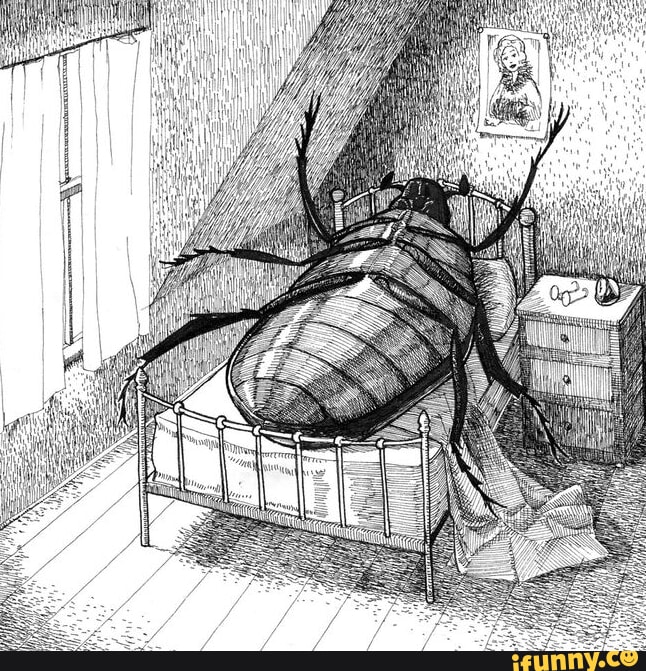Gregor memes. Best Collection of funny Gregor pictures on iFunny