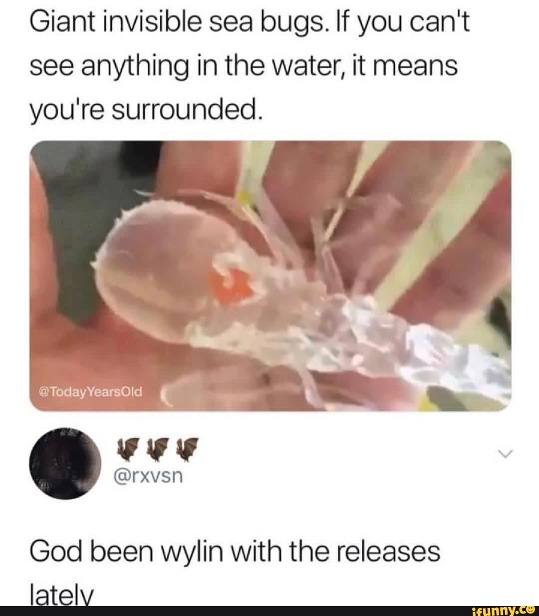 Giant invisible sea bugs. If you can't see anything in the water, it ...