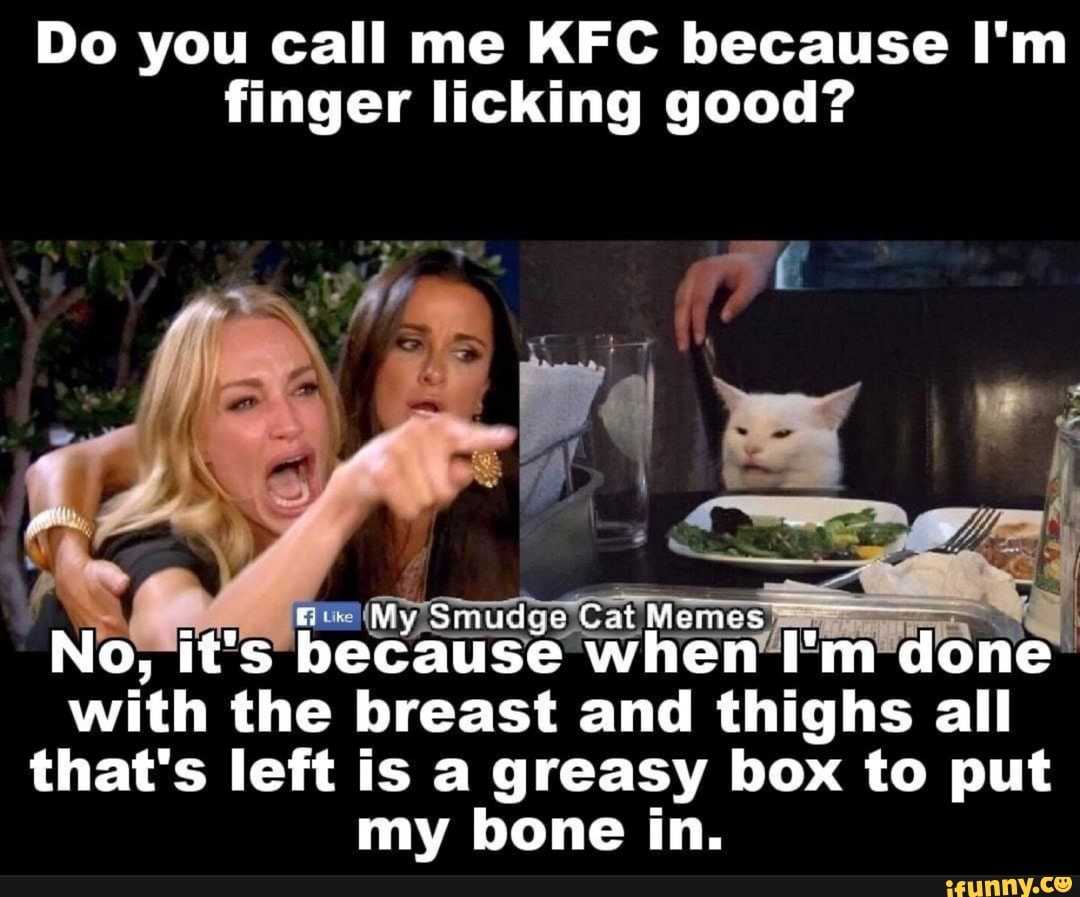 Do you call me KFC because I'm finger licking good? - My Smudoe Cat ...