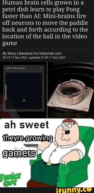 Paddle memes. Best Collection of funny Paddle pictures on iFunny