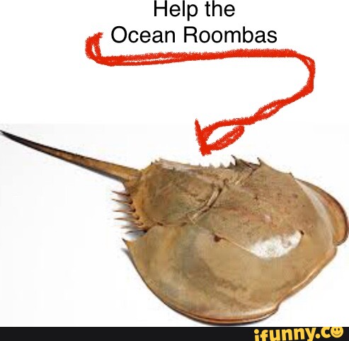 Rumba memes. Best Collection of funny Rumba pictures on iFunny