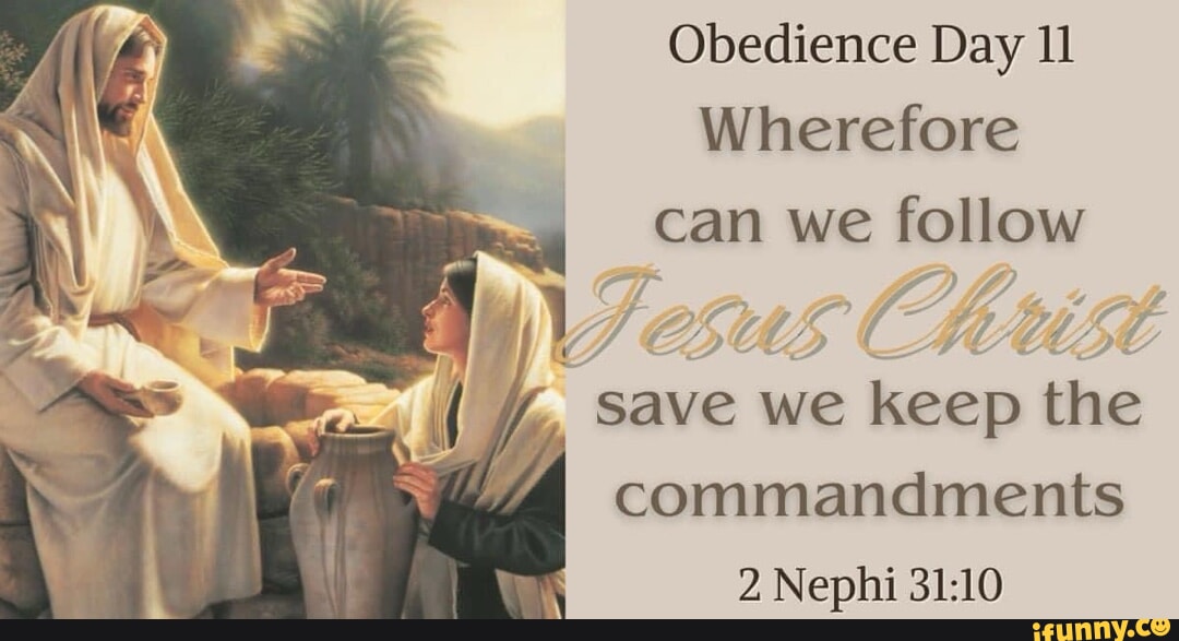 Obedience memes. Best Collection of funny Obedience pictures on iFunny